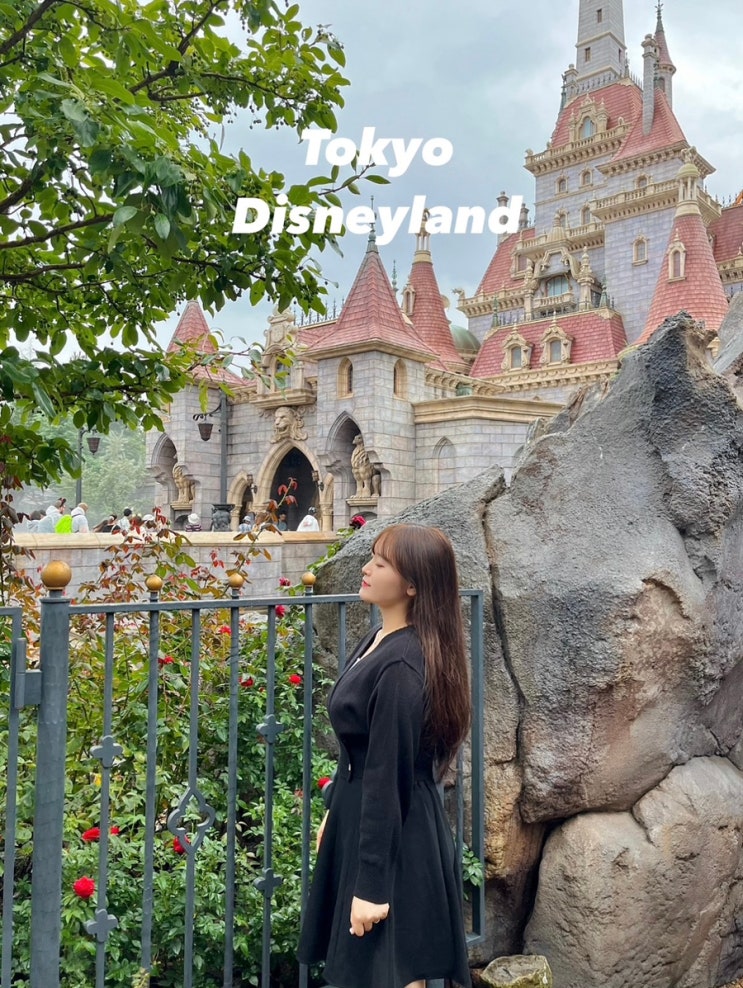 도쿄 여행 7박 8일 일정 4일차 : 도쿄 디즈니랜드, 미녀와야수,푸의허니헌트, 헌티드맨션, 스페이스마운틴, 인기어트랙션추천 ...