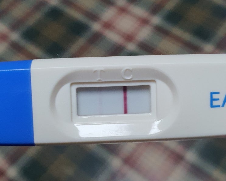 임신을 하였다 극초기임신증상 임신2주차 임신피검사hcg 임테기매직아이 임테기당근중고거래나눔 네이버 블로그