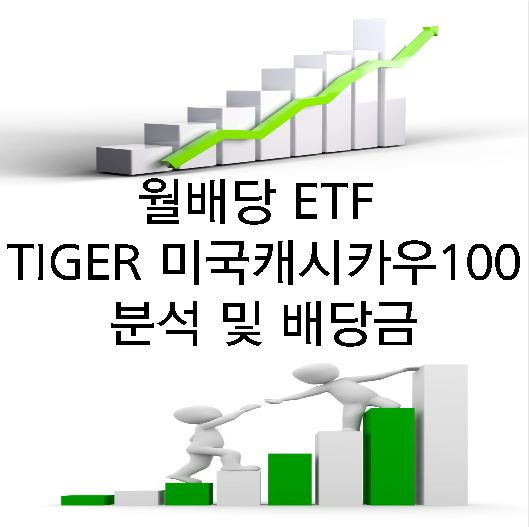 TIGER 미국캐시카우100 ETF 분석 및 배당금 : 네이버 블로그
