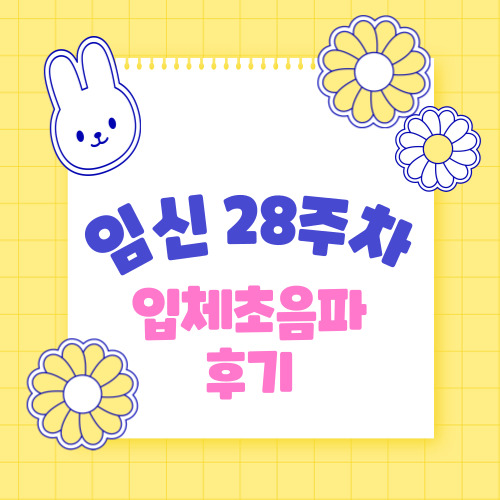 임신 28주차 입체초음파 후기양주 나무정원여성병원 네이버 블로그