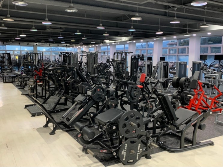 외도pt 외도헬스 외도동헬스 200평 정원제 헬스 Pt샵 바디챌린저 시티마트 2층 네이버 블로그