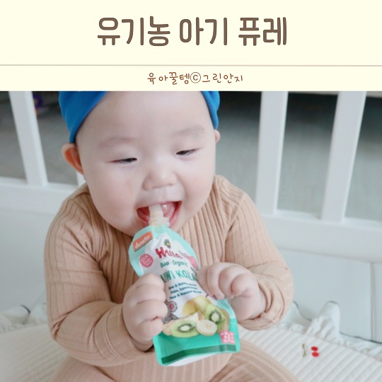 아기 퓨레 시기 언제부터 홀레 이유식 사과퓨레 간식 후기 네이버 블로그