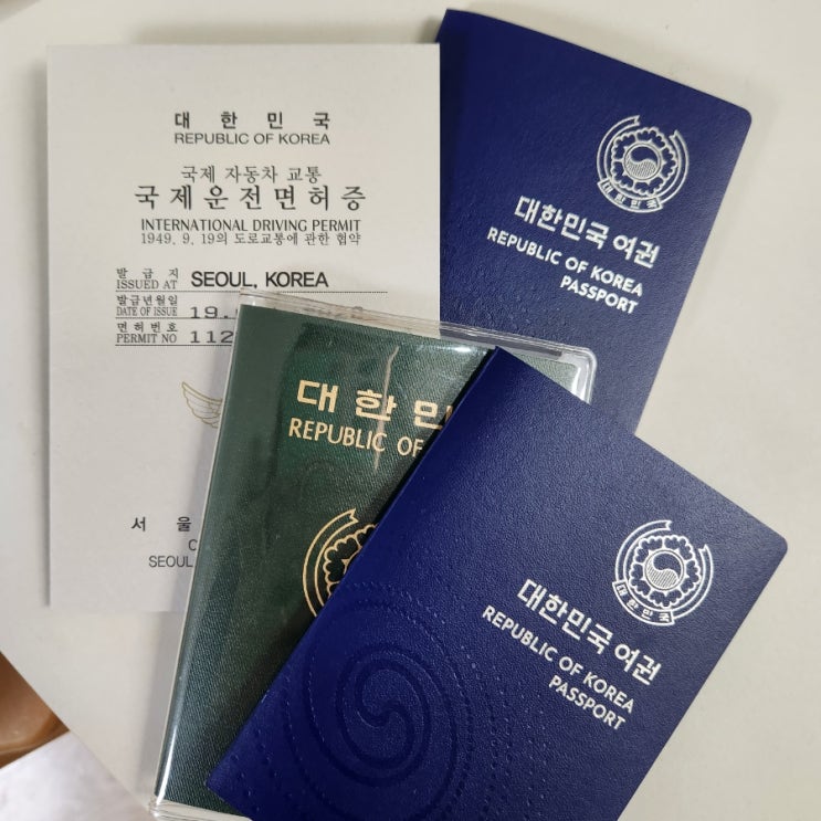 자폐 스펙트럼 장애 치료요법 MeRT, TMS를 받으러 미국으로 가기까지의 과정들 - MeRT, TMS란? : 네이버 블로그