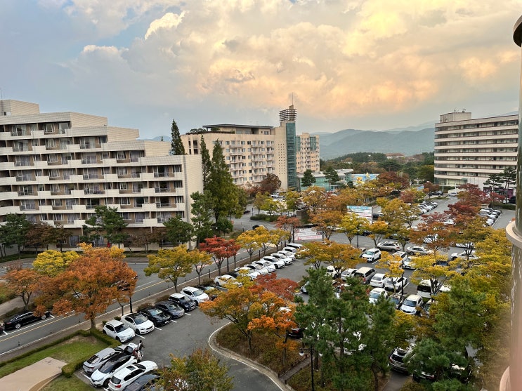 아이랑 경주 숙소 가성비는 좋은 켄싱턴리조트 경주 애슐리 조식솔직후기 네이버 블로그