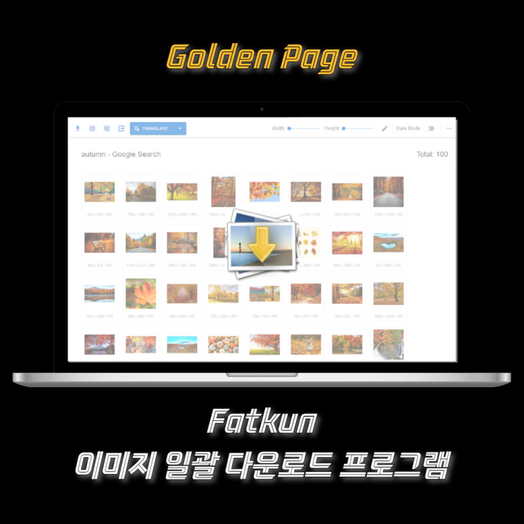 Fatkun 프로그램으로 이미지 일괄 다운로드 편하게 하기 : 네이버 블로그
