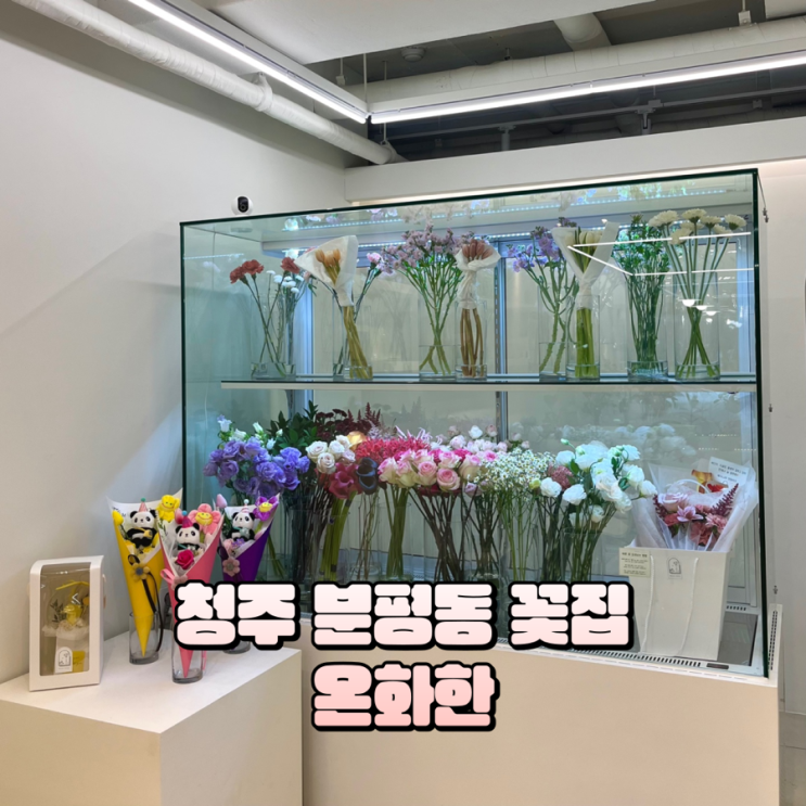 청주 분평동 꽃집 산남동 꽃집 수곡동 꽃집 온화한 꽃다발 선물 맛집 네이버 블로그