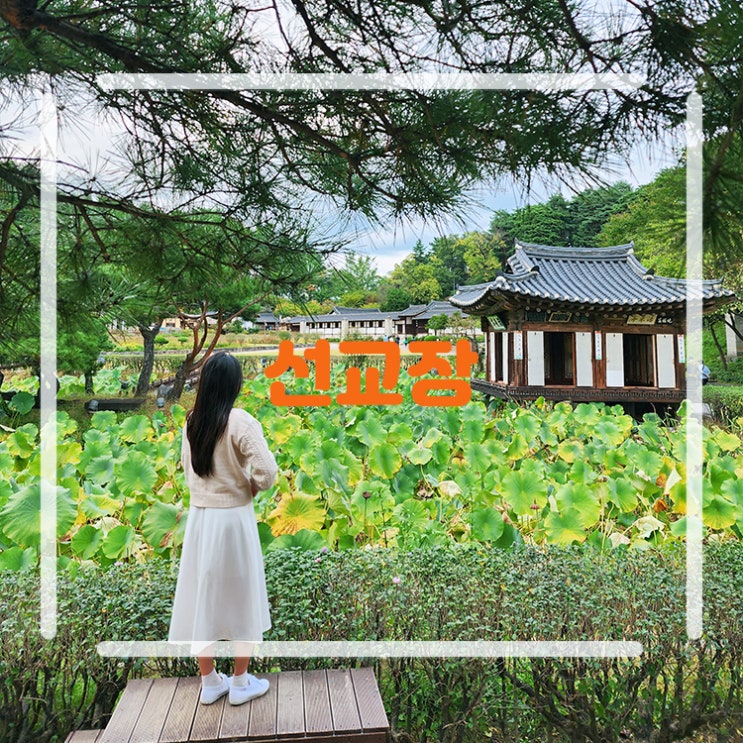 강릉 선교장 시내 볼거리 데이트 명소 아이랑 가볼만한곳 관광지 네이버 블로그