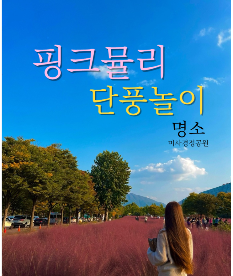 하남 미사경정공원미사리 조정경기장 핑크뮬리•단풍 명소 서울근교 드라이브 주차 주차비용 까지 네이버 블로그