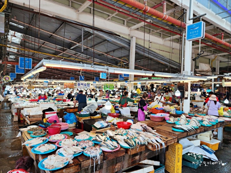 제주 오일장 제주도 제주시민속오일시장 제주 민속오일장 날짜 살거리 먹거리 네이버 블로그