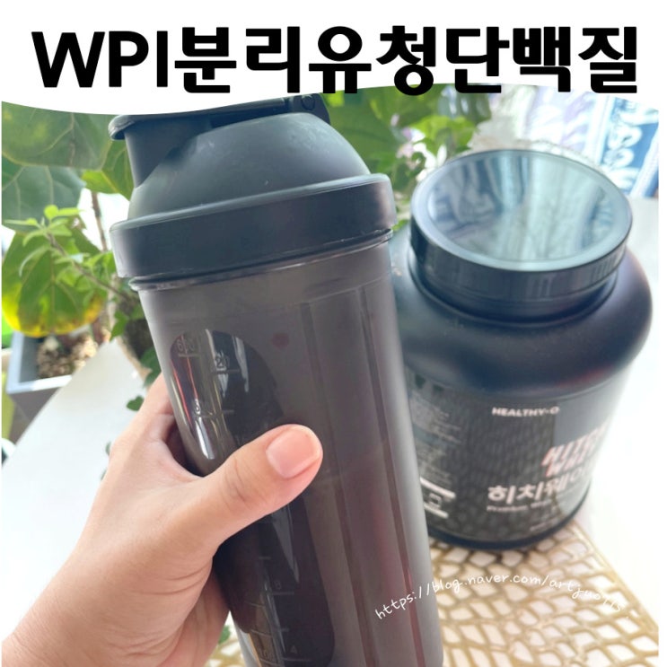 Wpi 분리유청 단백질 보충제 추천 맛있는 헬시오 히치웨이~ 네이버 블로그