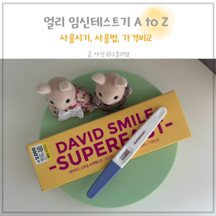 얼리 임신테스트기 사용시기 정확도 다이소 임테기 사용법 관계후 10일 희미한 두줄 네이버 블로그