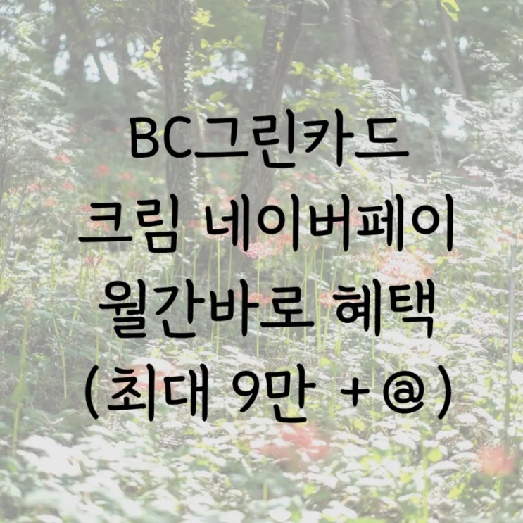 Bc 그린카드 챌린지 크림 네이버페이 이벤트 페이북 바로카드 월간 패키지 네이버 블로그