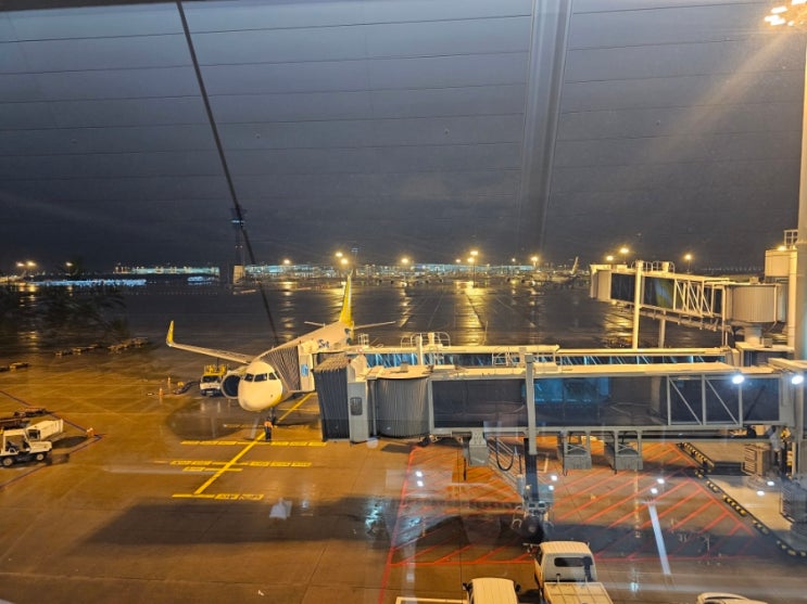 필리핀 세부 여행 세부 퍼시픽 에어라인 탑승 및 이용 후기 네이버 블로그