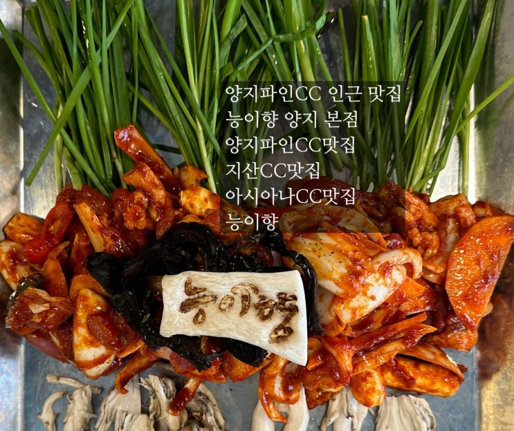 용인삼계탕 양지cc맛집 용인 양지리 맛집 능이향 양지 본점 네이버 블로그