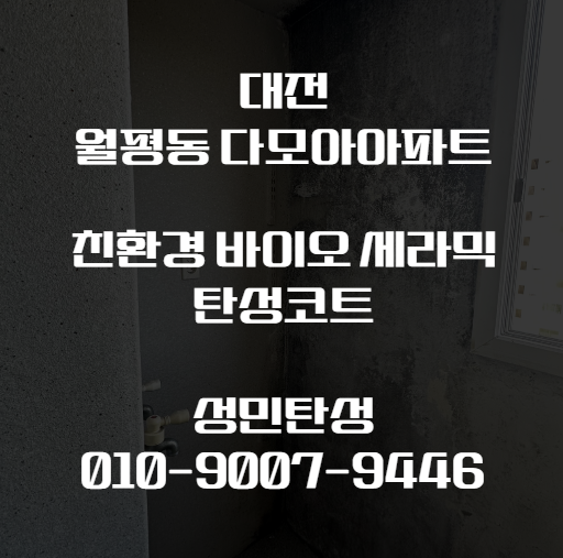 월평동 다모아아파트 대전 탄성코트 세탁실 곰팡이 제거 후 페인트 도색 네이버 블로그
