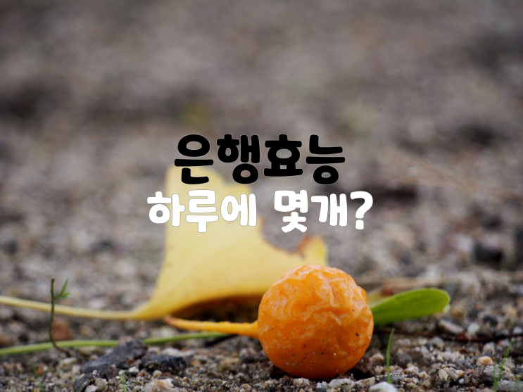 은행 열매 효능 부작용 네이버 블로그