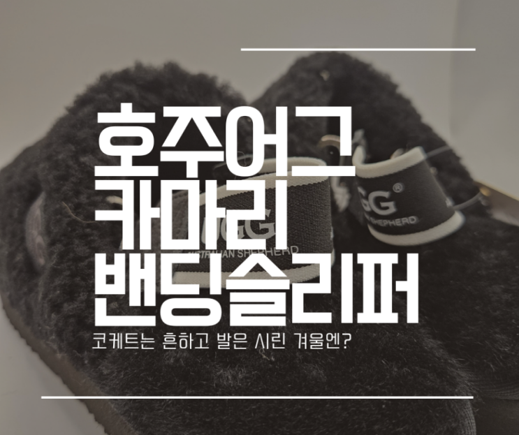 호주어그 카마리 밴딩 슬리퍼 내돈내산 후기 색다른 느낌의 따뜻한 겨울슬리퍼 미국어그 호주어그 차이 네이버 블로그