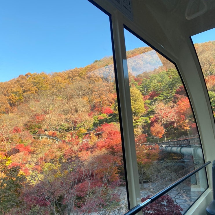 화담숲 예약 꿀팁 취소표 줍줍 예매와 다른시간에 입장 모노레일 꽈배기 Etc 네이버 블로그