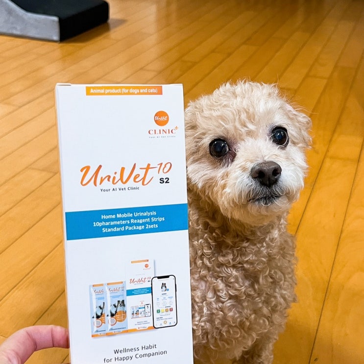 강아지소변검사 셀프키트 유리벳 Urivet 건강검진 : 네이버 블로그