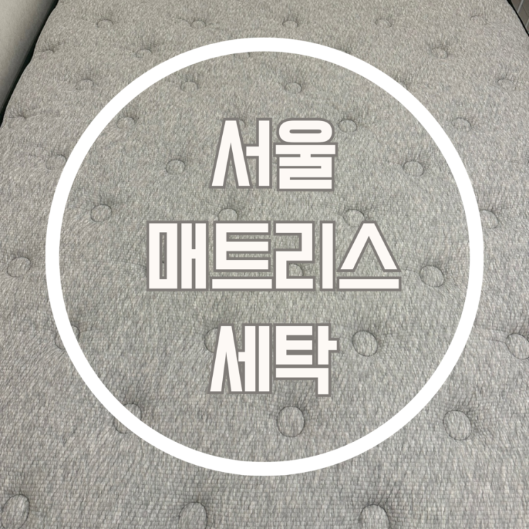 서울 중구 침대 매트리스 청소 세탁 케어 강아지 오줌 얼룩 냄새 제거 전문 업체 가격 비용은 네이버 블로그