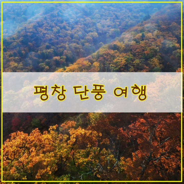 평창 단풍 여행 모나 용평리조트 발왕산 관광 케이블카 다녀온 후기 네이버 블로그