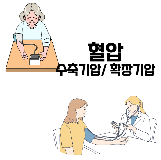 기본간호 활력징후 혈압 맥박 체온 호흡 네이버 블로그