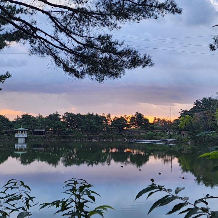 강원도여행 1박2일 설악워터피아 그리고 설악산 단풍놀이 설악산케이블카 한화리조트 설악쏘라노 가을여행추천 네이버 블로그