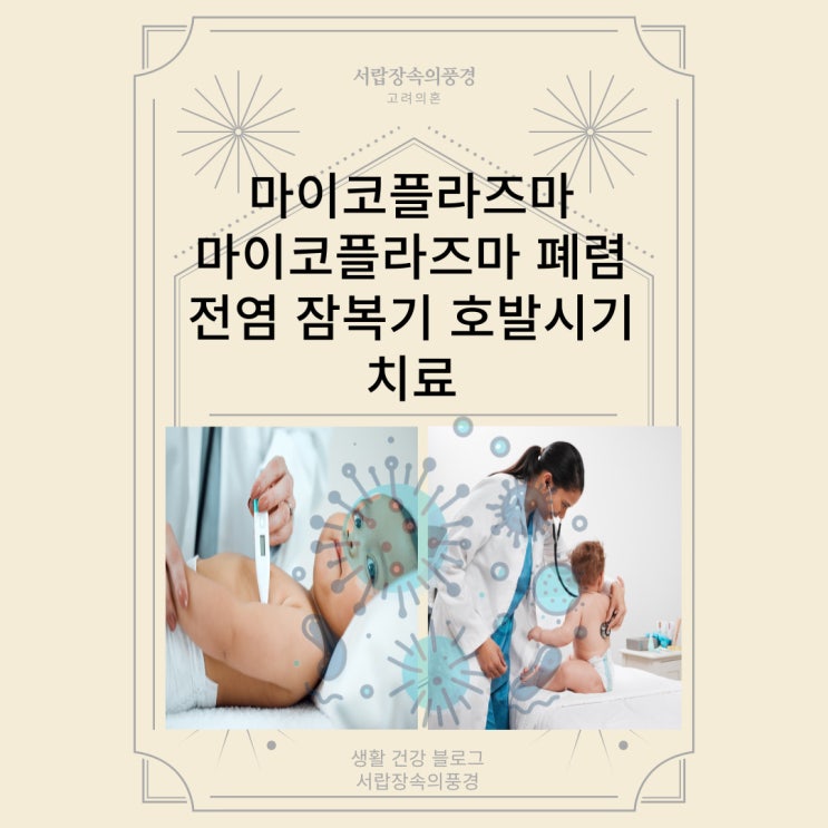 마이코플라즈마 마이코플라즈마 폐렴 전염 잠복기 호발시기 치료방법 네이버 블로그