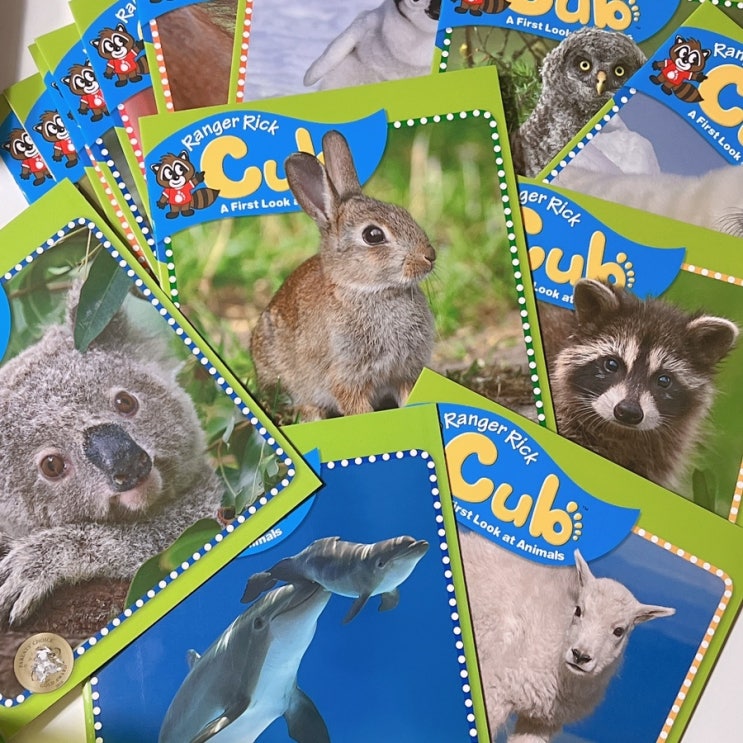 [마감] 2-5세 추천 원서 [The National Wildlife Federation] Ranger Rick Cub (전26 ...