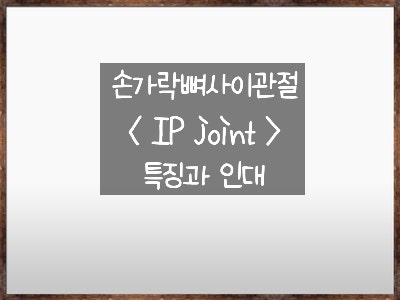 손가락뼈사이관절(IP joint)의 특징과 인대 : 네이버 블로그