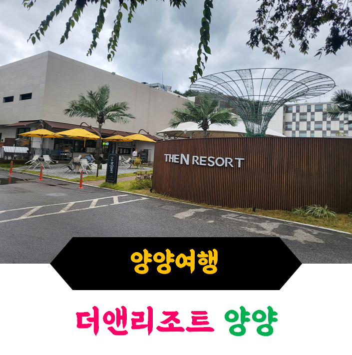 3살 아기랑 양양가족여행 더앤리조트 양양 디럭스패밀리트윈룸 내돈내산 솔직후기 네이버 블로그