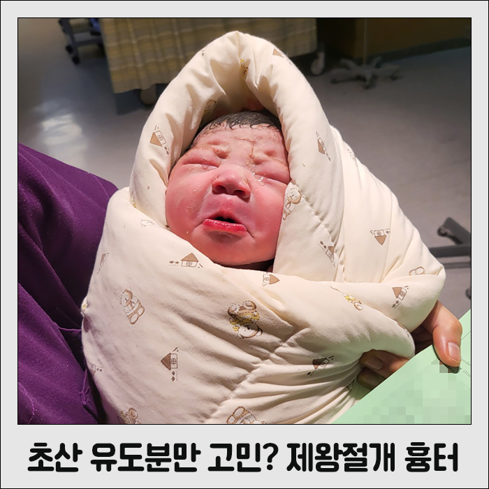 초산 유도분만 고민 제왕절개 흉터 훗배앓이 회복기간 제왕절개 후기 페인버스터는 네이버 블로그