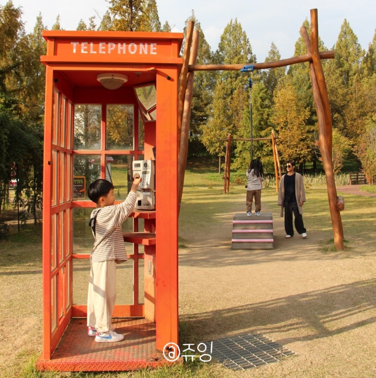 담양 어린이프로방스 메타세콰이어랜드 아이와 가족나들이 네이버 블로그