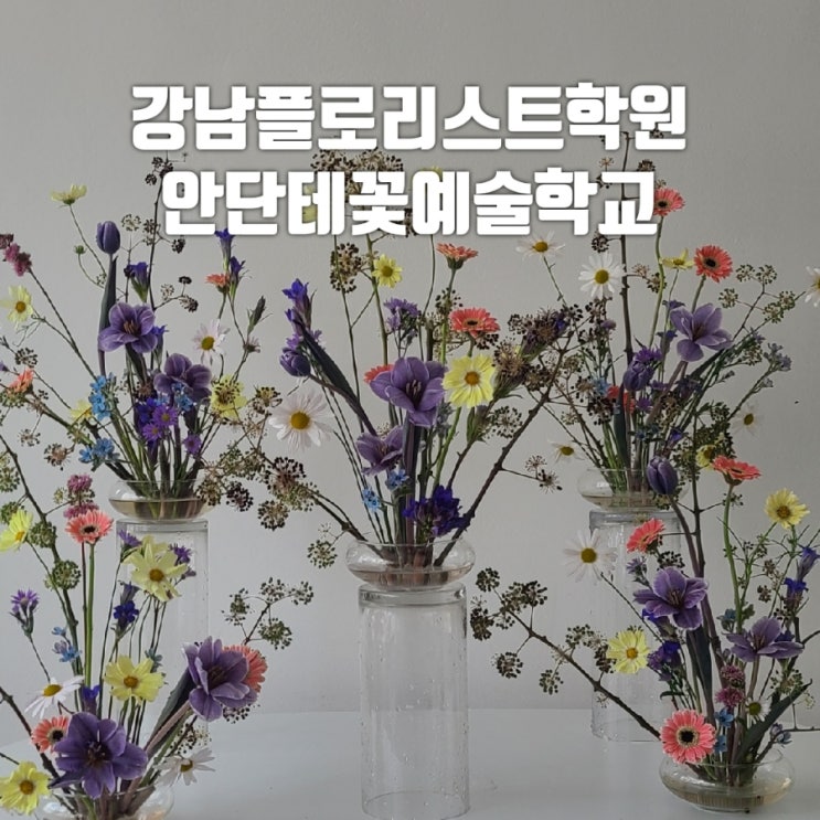 강남 플로리스트학원 안단테 꽃예술직업학교 원 데이 클래스 하고 왔어요 네이버 블로그