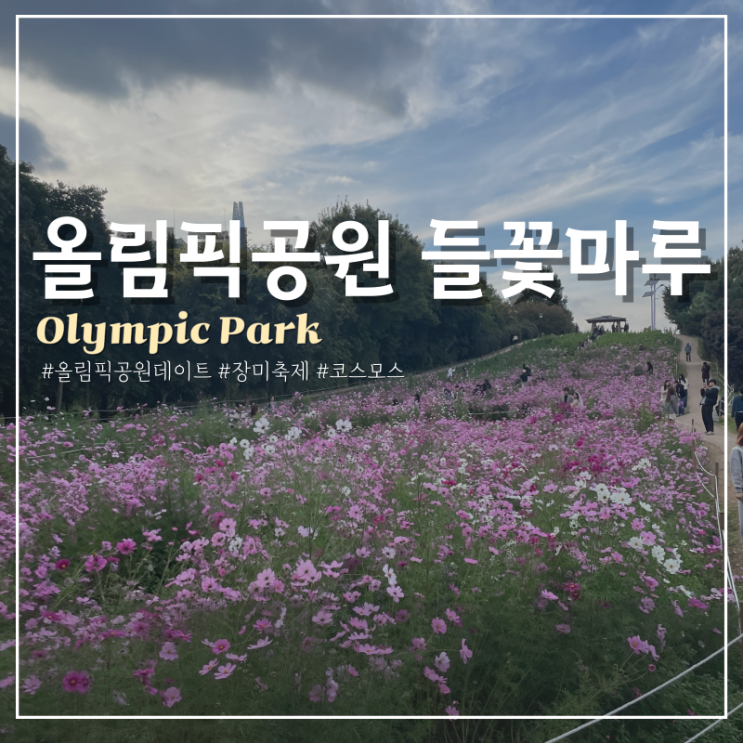 서울 올림픽공원 코스모스 야외 데이트 들꽃마루 꽃구경 장미 광장 축제 네이버 블로그
