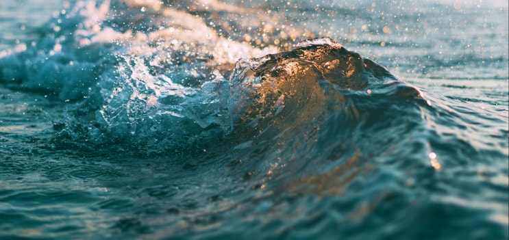 미디 작곡 영화 음악 가상악기 Cinesamples Soundscapes : 네이버 블로그