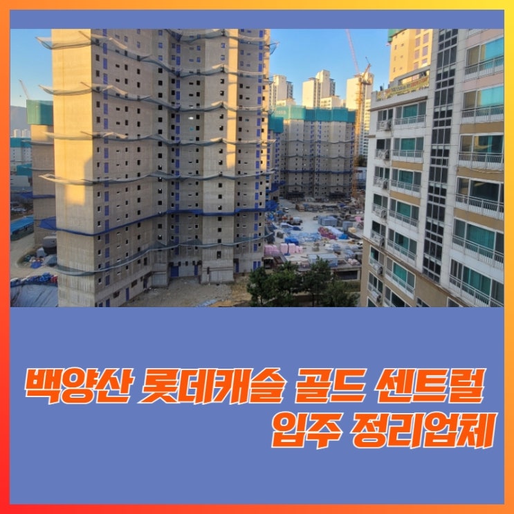 백양산 롯데캐슬 골드 센트럴 부산 정리 수납 현장 파견 이사 정리 및 리모델링 정리 업체 네이버 블로그