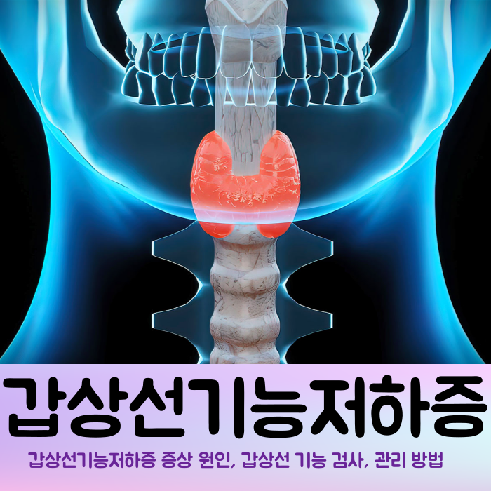갑상선기능저하증 증상 원인 검사 및 관리 방법 음식 약 네이버 블로그