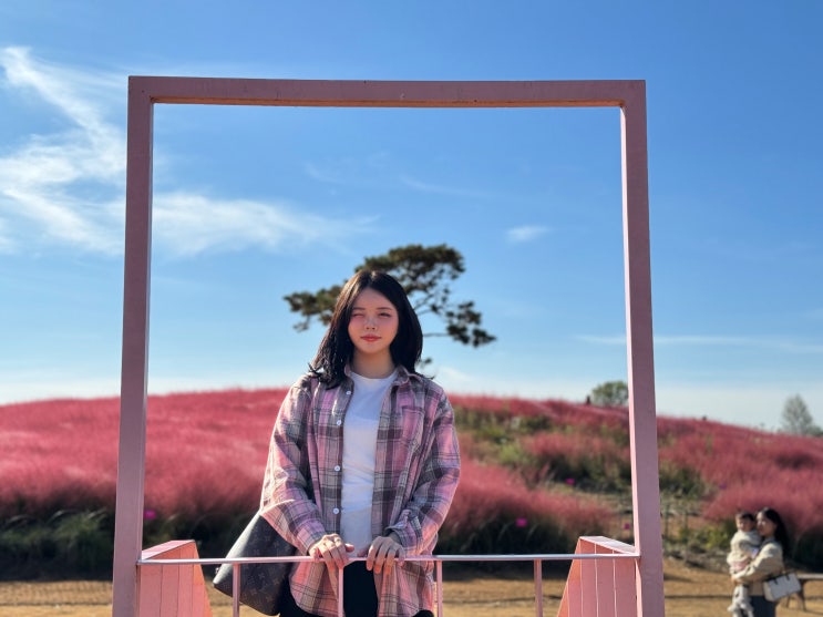 안성팜랜드 핑크뮬리 만개 코스모스 언덕 토끼마을 및 먹거리 입장료 주차 정보 네이버 블로그