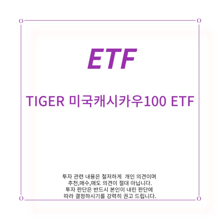 [ETF] TIGER 미국 캐시카우 100 ETF : 네이버 블로그