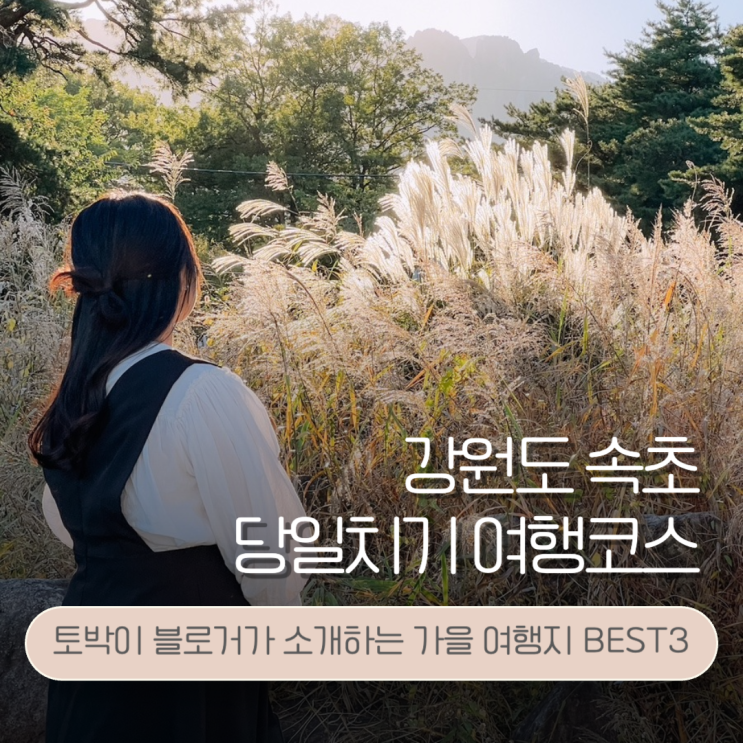 강원도속초갈만한곳 가을 당일치기 여행코스 바우지움 조각미술관 영랑호 등 ♥ 네이버 블로그
