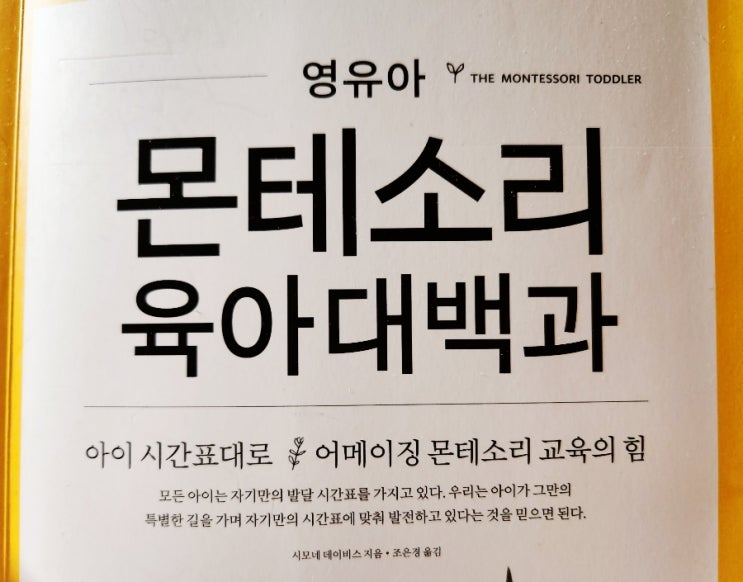 몬테소리 유아 대백과스콜라에듀대전센터 몬테소리 센터수업 네이버 블로그