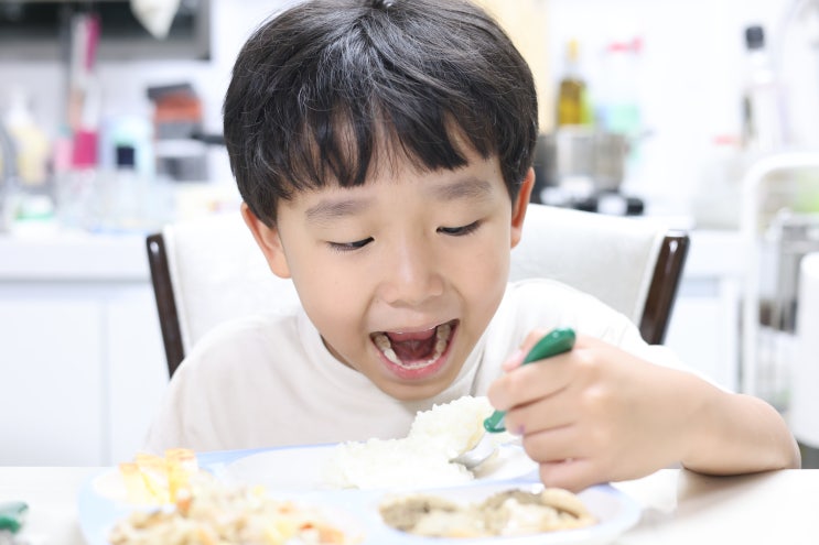 배냇밀 시판 유아식 활용해서 간단하게 아이들 올바른 식습관 형성하기 네이버 블로그
