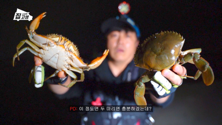 청게를 아시나요? 청게해루질편 [집나오면고생] : 네이버 블로그