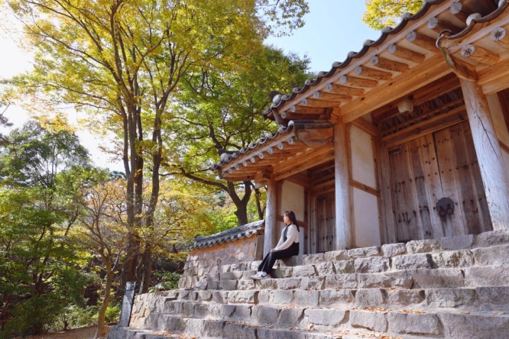 인천 강화도 당일치기 사찰여행 전등사 단풍 기와체험 애견동반식당 준스레시피 네이버 블로그