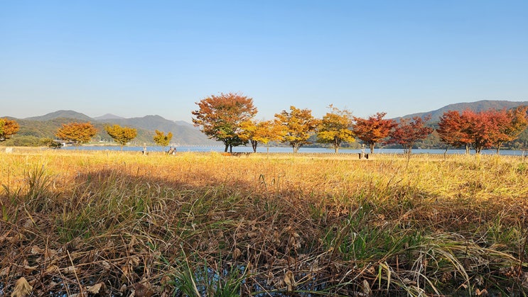 양평 가볼만한곳 여행코스 세미원 연꽃박물관 양평 두물머리 경기도 드라이브 네이버 블로그