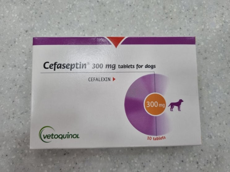 동물용 항생제 종류 소개, 처방전 없이 구매가능한 항생제, 세파셉틴 365녹십자약국 : 네이버 블로그