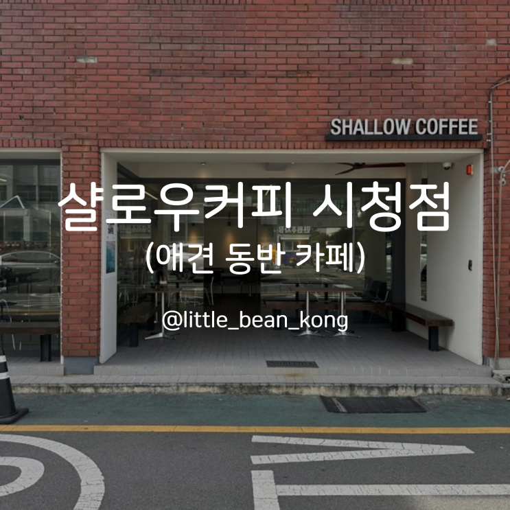 [울산] 샬로우커피 시청점, SHALLOW COFFEE(애견 동반 카페) : 네이버 블로그