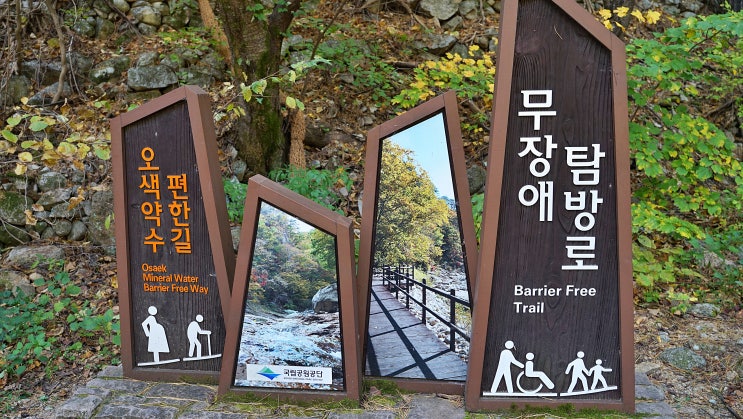 양양관광지 오색약수 설악 주전골 용소폭포까지 단풍여행 네이버 블로그