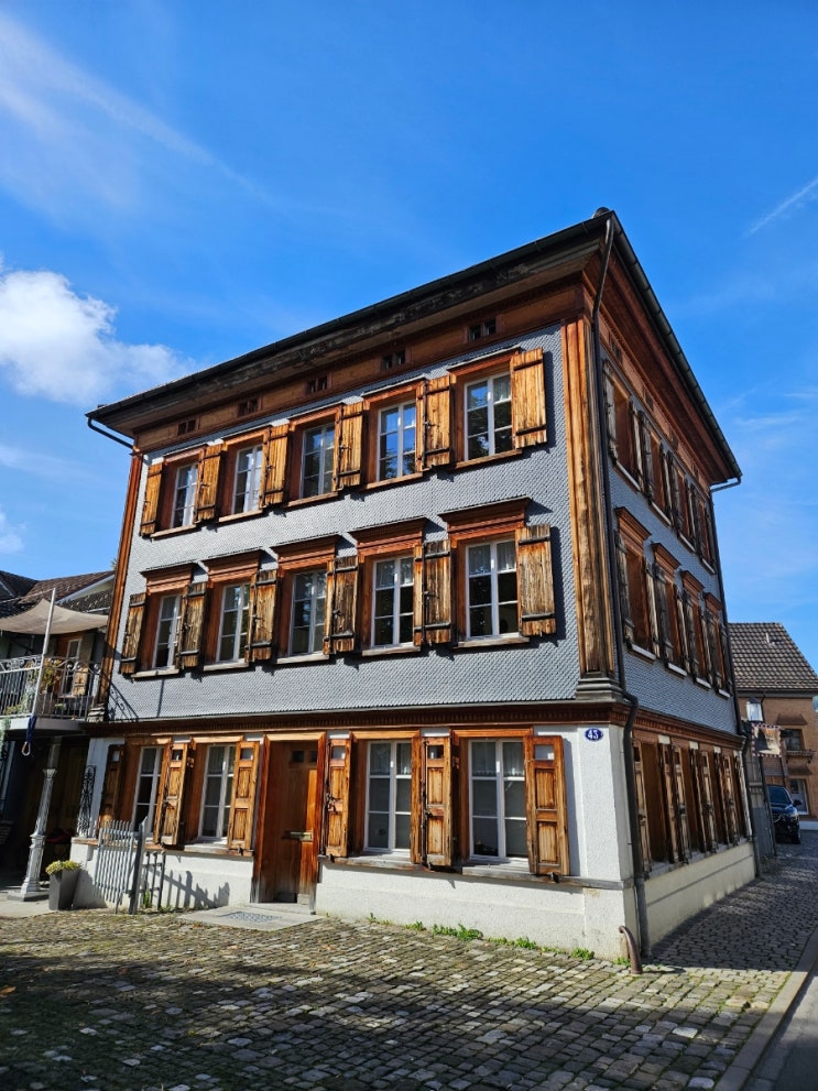 [스위스/에셔산장,취리히,라인폭포]한국 도착할 때까지 끝난게 아니다 with 비행기아주머니둘 : 네이버 블로그